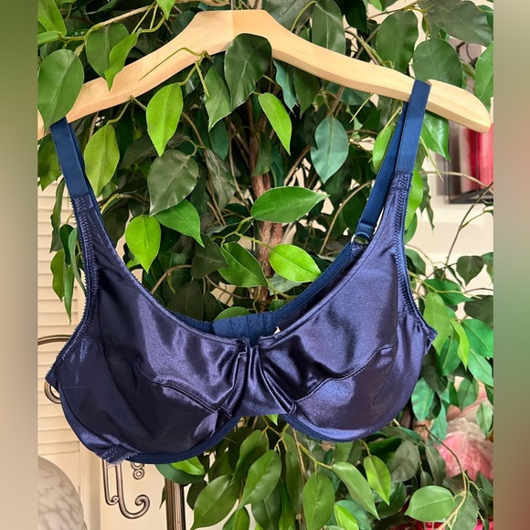 Satin Caress | Intimates & Sleepwear | Classic Blue Satin Bra With ...